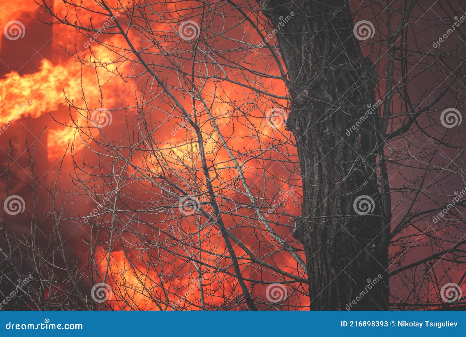 Massive Large Major Wildfire, Bush Blaze, a Forest Fire Stock Image ...