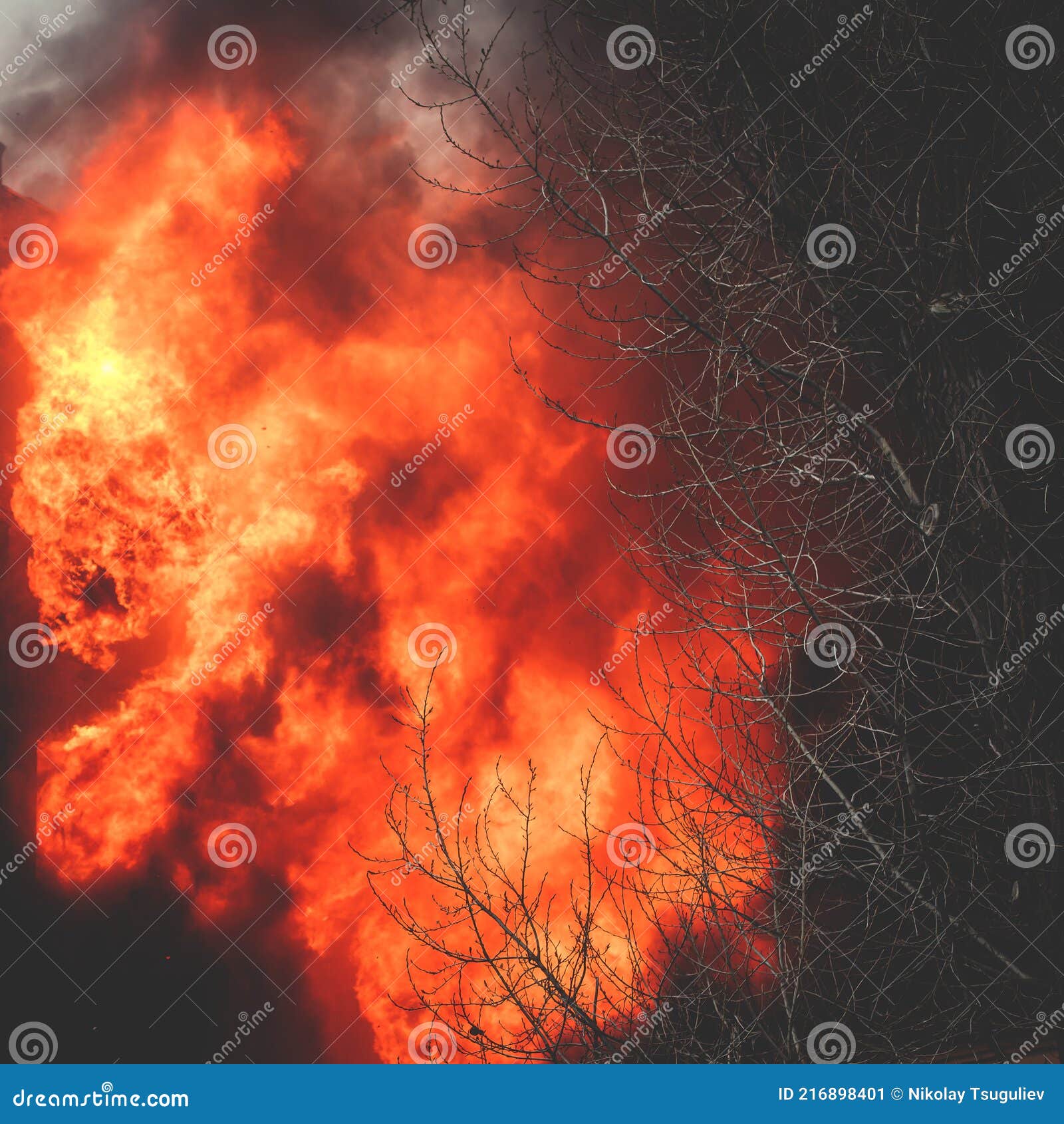 Massive Large Major Wildfire, Bush Blaze, a Forest Fire Stock Image ...
