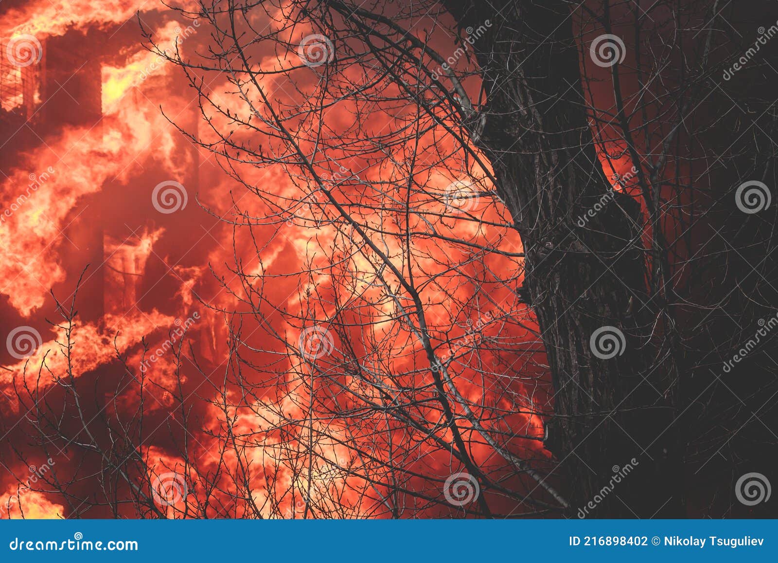 Massive Large Major Wildfire, Bush Blaze, a Forest Fire Stock Photo ...