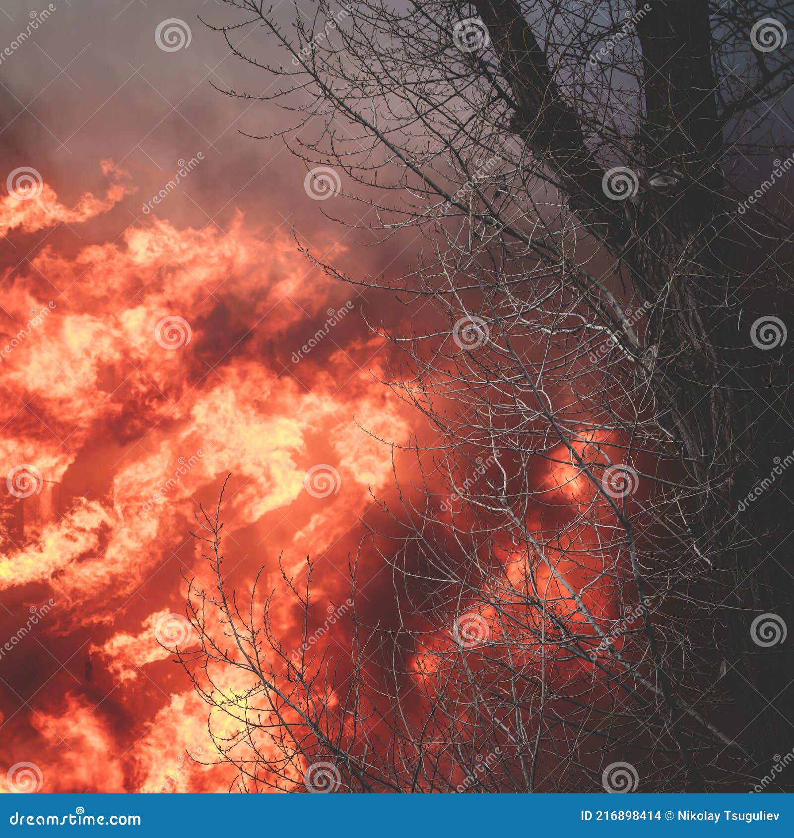 Massive Large Major Wildfire, Bush Blaze, a Forest Fire Stock Photo ...