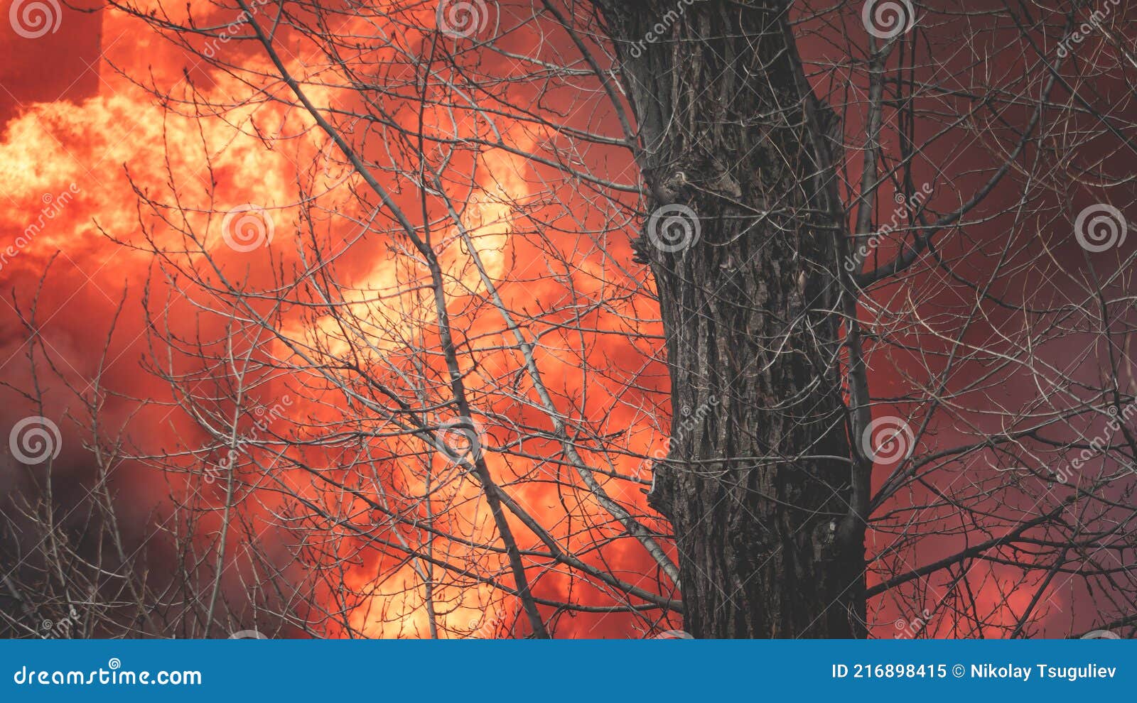 Massive Large Major Wildfire, Bush Blaze, a Forest Fire Stock Image ...