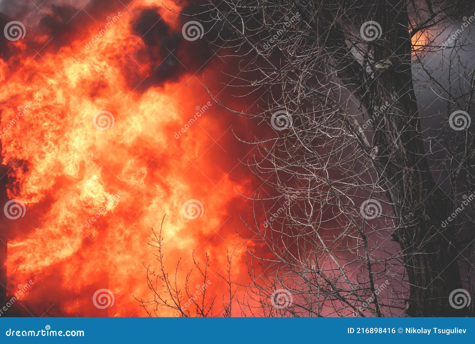 Massive Large Major Wildfire, Bush Blaze, A Forest Fire Stock Photo ...