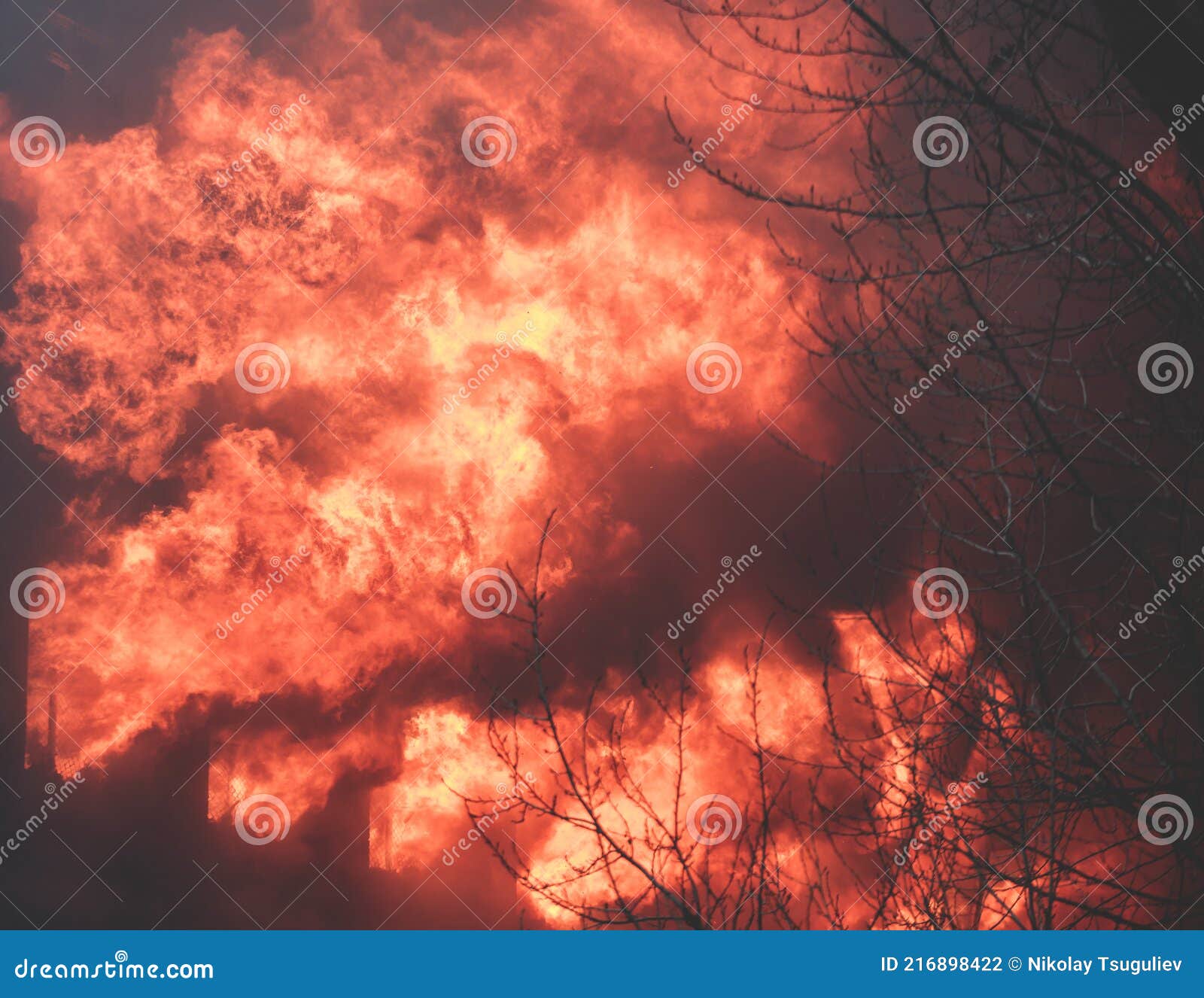 Massive Large Major Wildfire, Bush Blaze, a Forest Fire Stock Photo ...