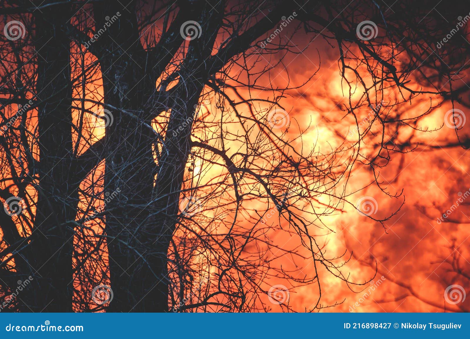Massive Large Major Wildfire, Bush Blaze, a Forest Fire Stock Image ...