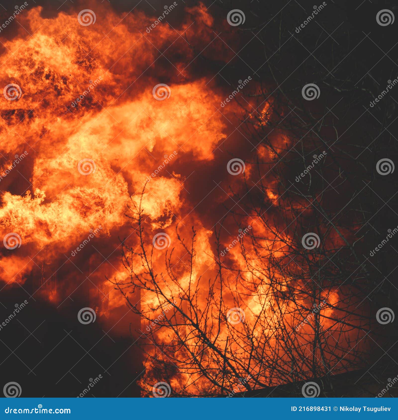 Massive Large Major Wildfire, Bush Blaze, a Forest Fire Stock Image ...