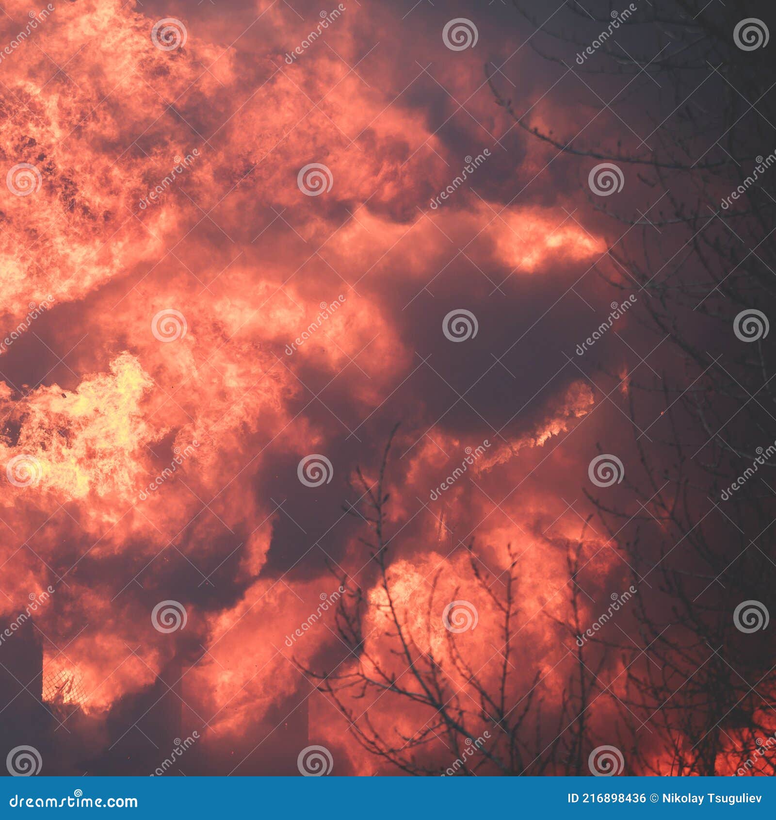 Massive Large Major Wildfire, Bush Blaze, A Forest Fire Stock Photo ...