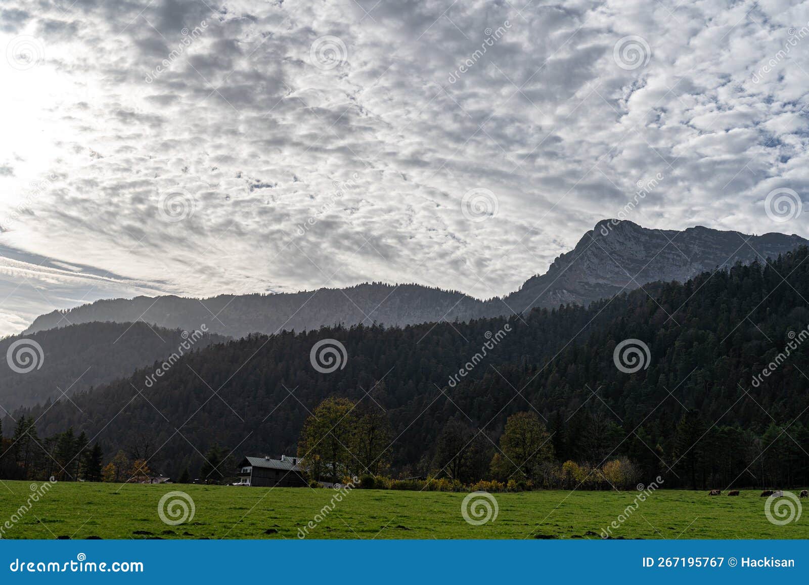 Massive Mountain Chain, Forest and Meadows of the German Alps Stock ...
