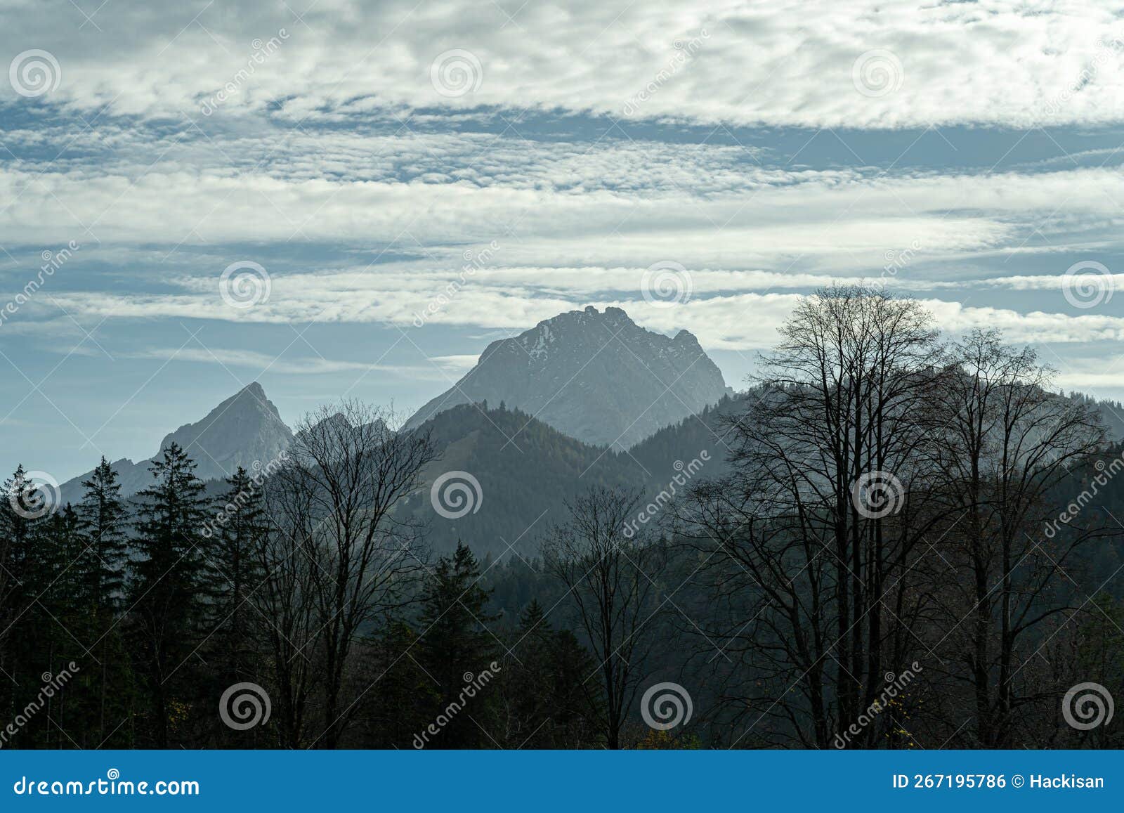 Massive Mountain Chain, Forest and Meadows of the German Alps Stock ...