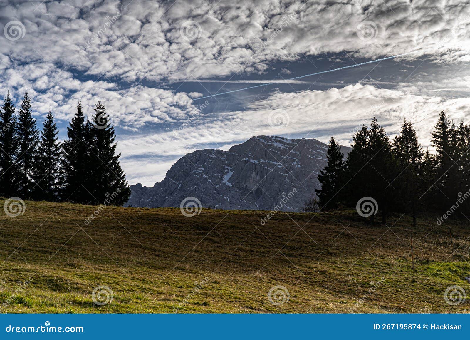 Massive Mountain Chain, Forest and Meadows of the German Alps Stock ...