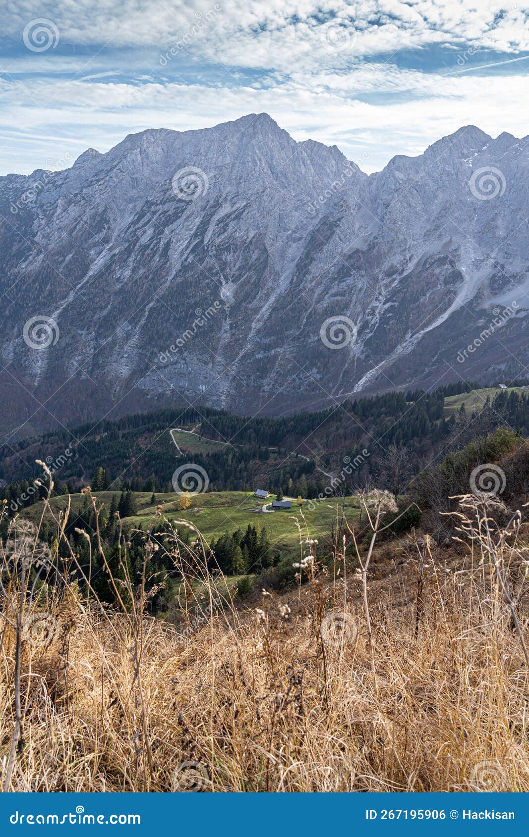 Massive Mountain Chain, Forest and Meadows of the German Alps Stock ...