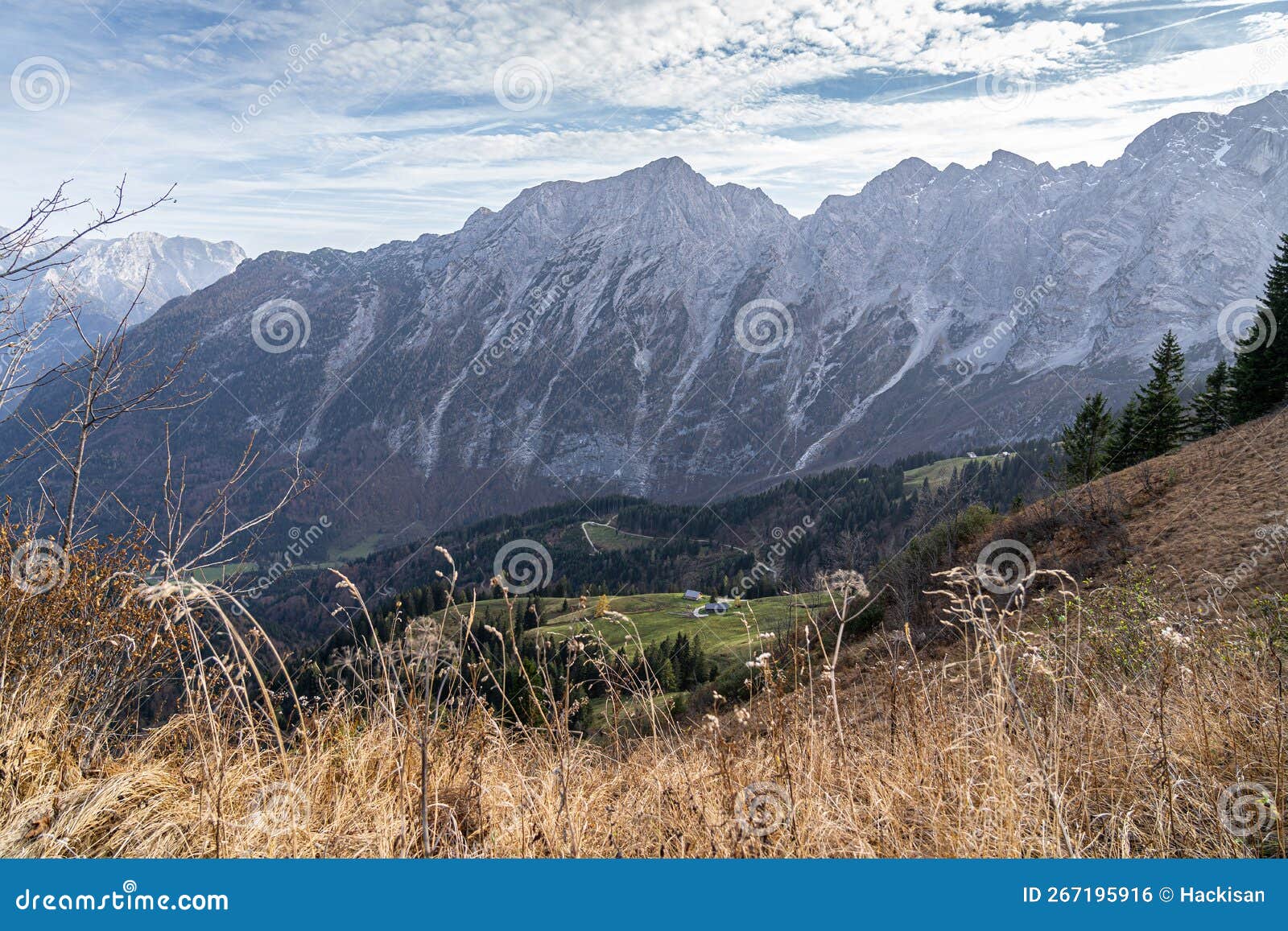 Massive Mountain Chain, Forest and Meadows of the German Alps Stock ...