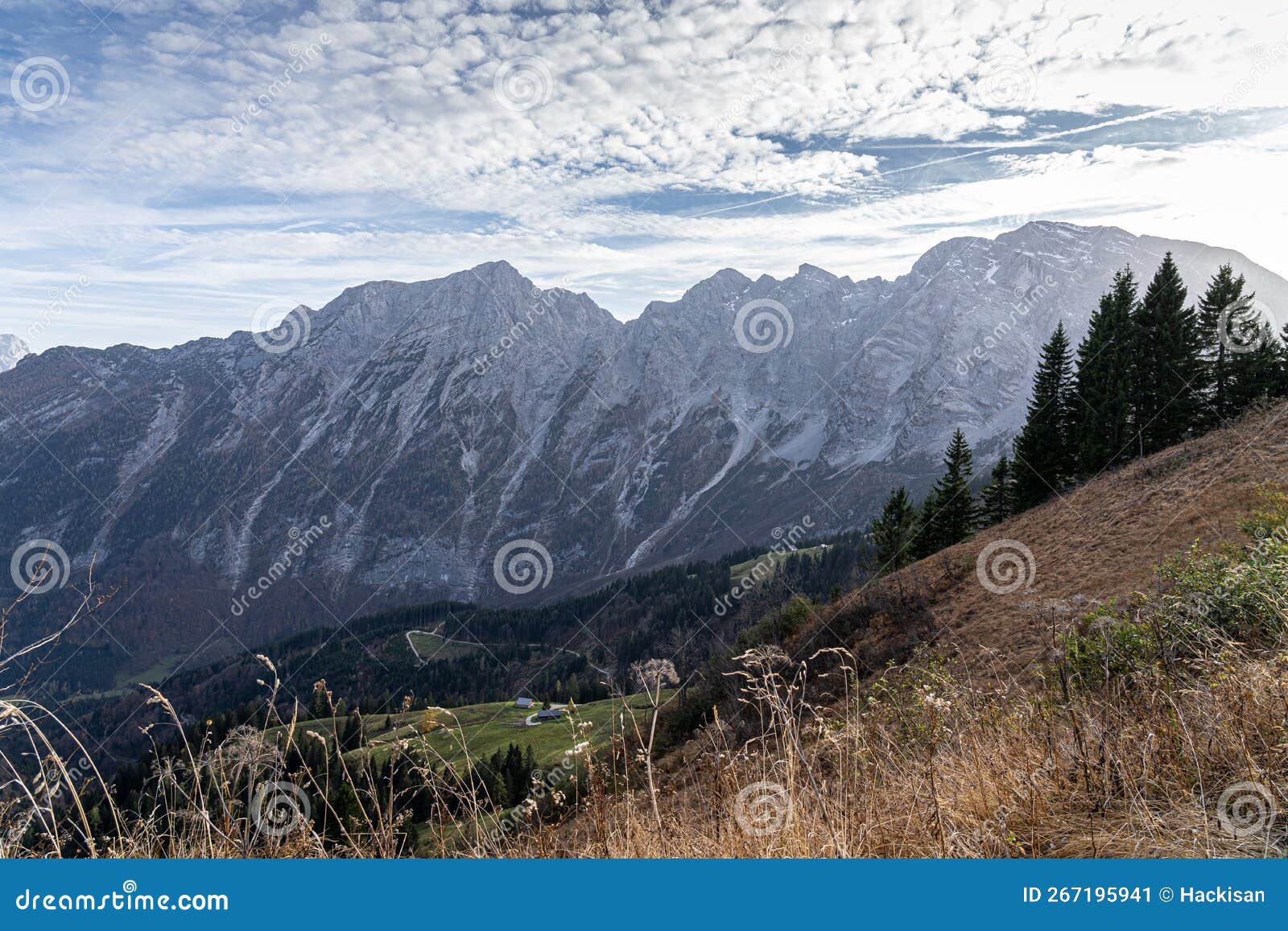 Massive Mountain Chain, Forest and Meadows of the German Alps Stock ...