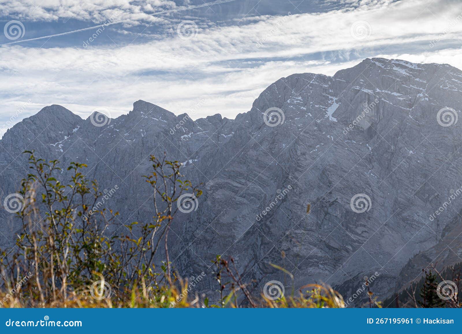 Massive Mountain Chain, Forest and Meadows of the German Alps Stock ...