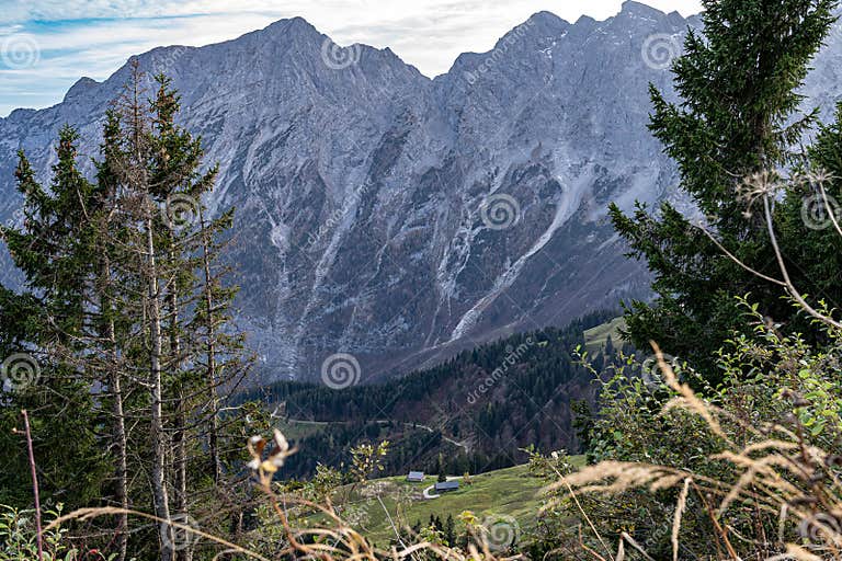 Massive Mountain Chain, Forest and Meadows of the German Alps Stock ...