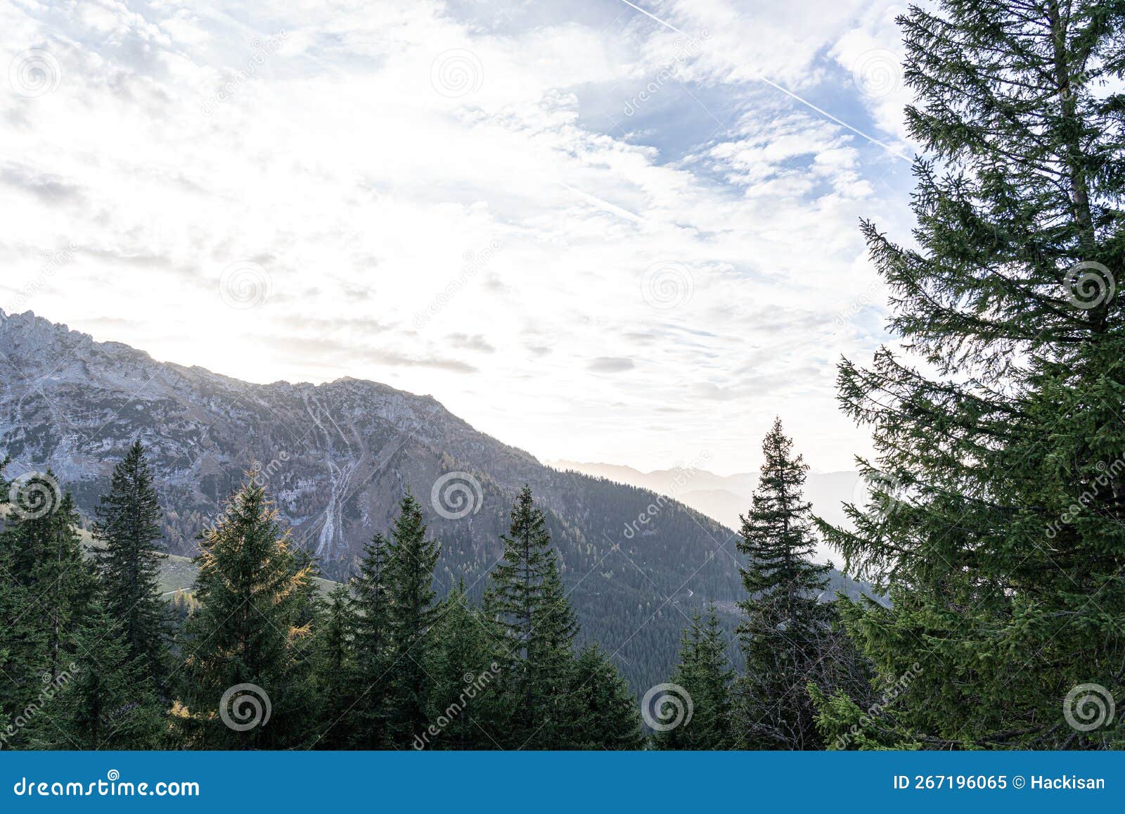 Massive Mountain Chain, Forest and Meadows of the German Alps Stock ...