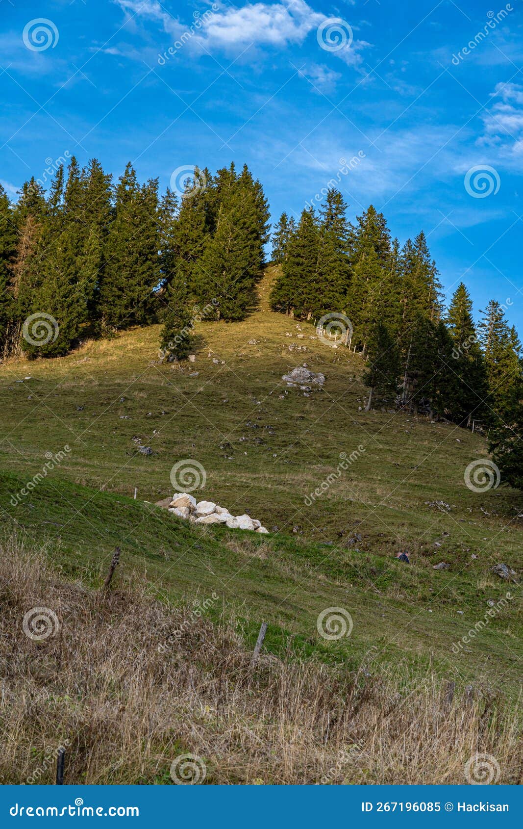 Massive Mountain Chain, Forest and Meadows of the German Alps Stock ...