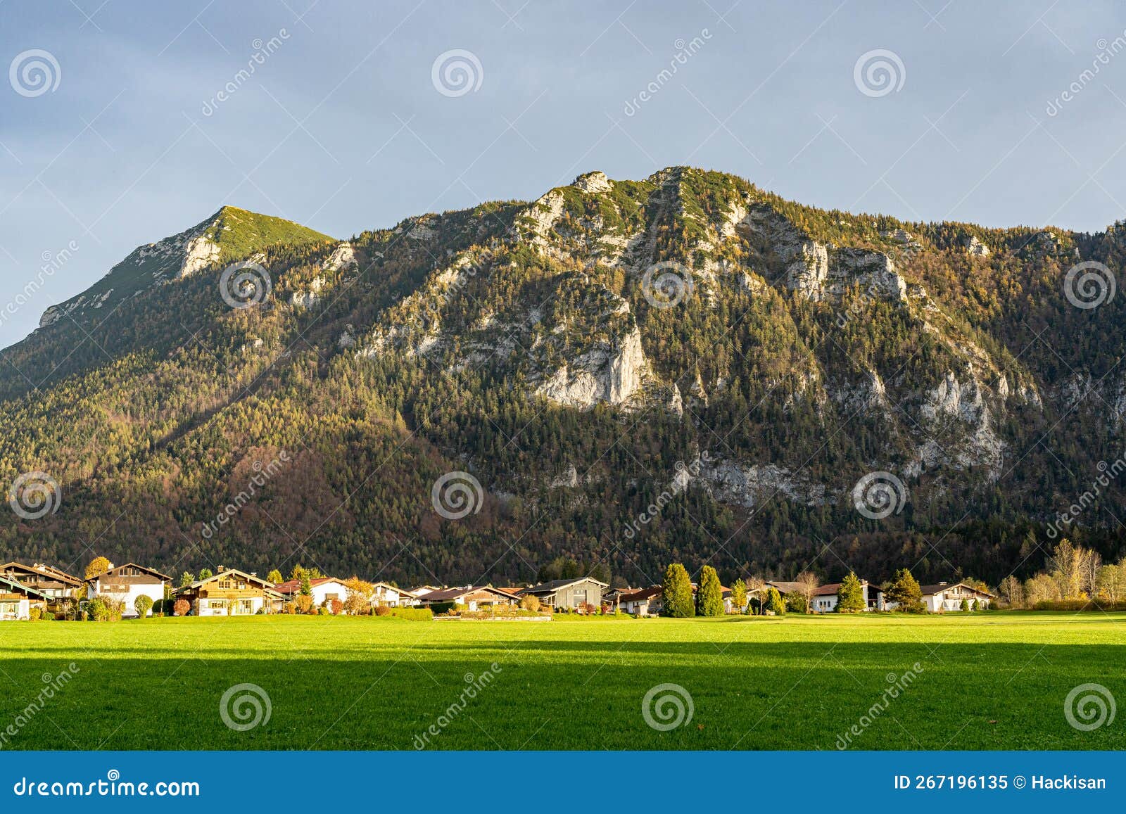 Massive Mountain Chain, Forest and Meadows of the German Alps Stock ...