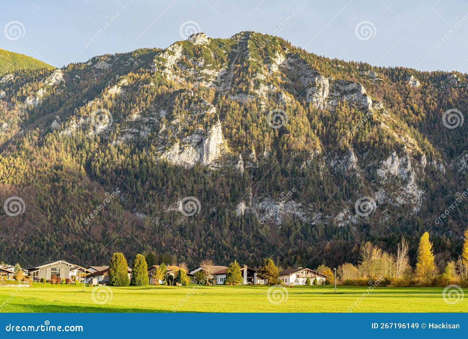 Massive Mountain Chain, Forest and Meadows of the German Alps Stock ...
