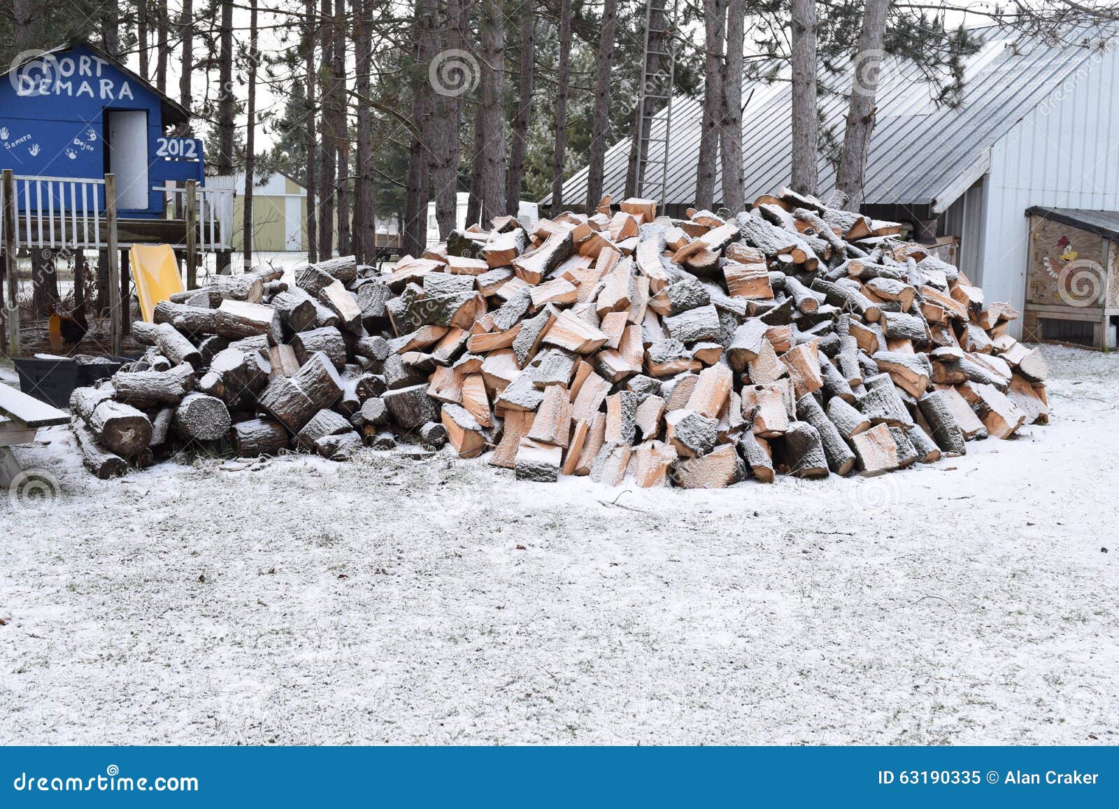 Massive Pile of Firewood Cut by Lumberjack Pine Trees Covered in Light ...