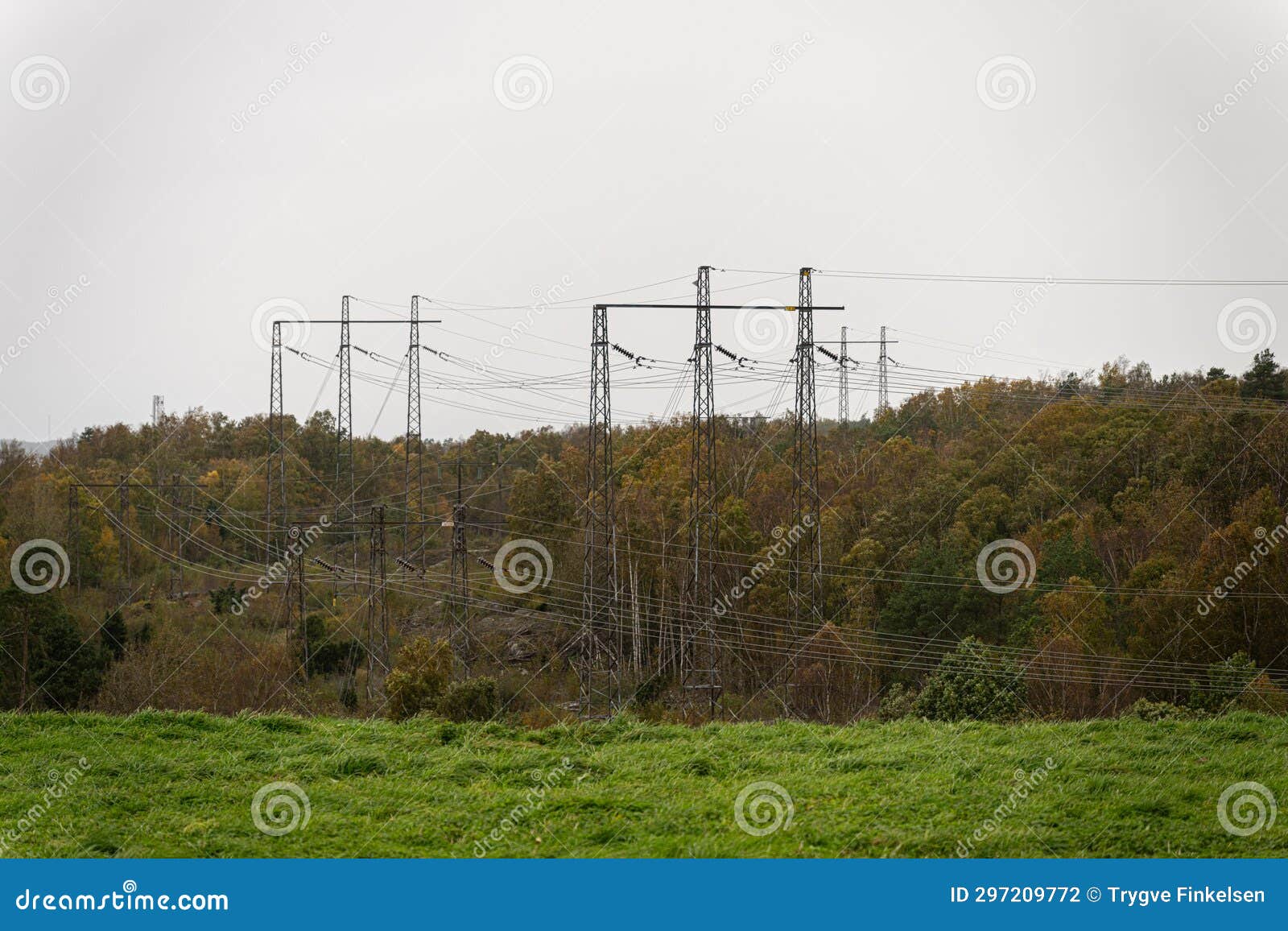 Massive Power Lines Over a Forest.. Stock Photo - Image of energy ...