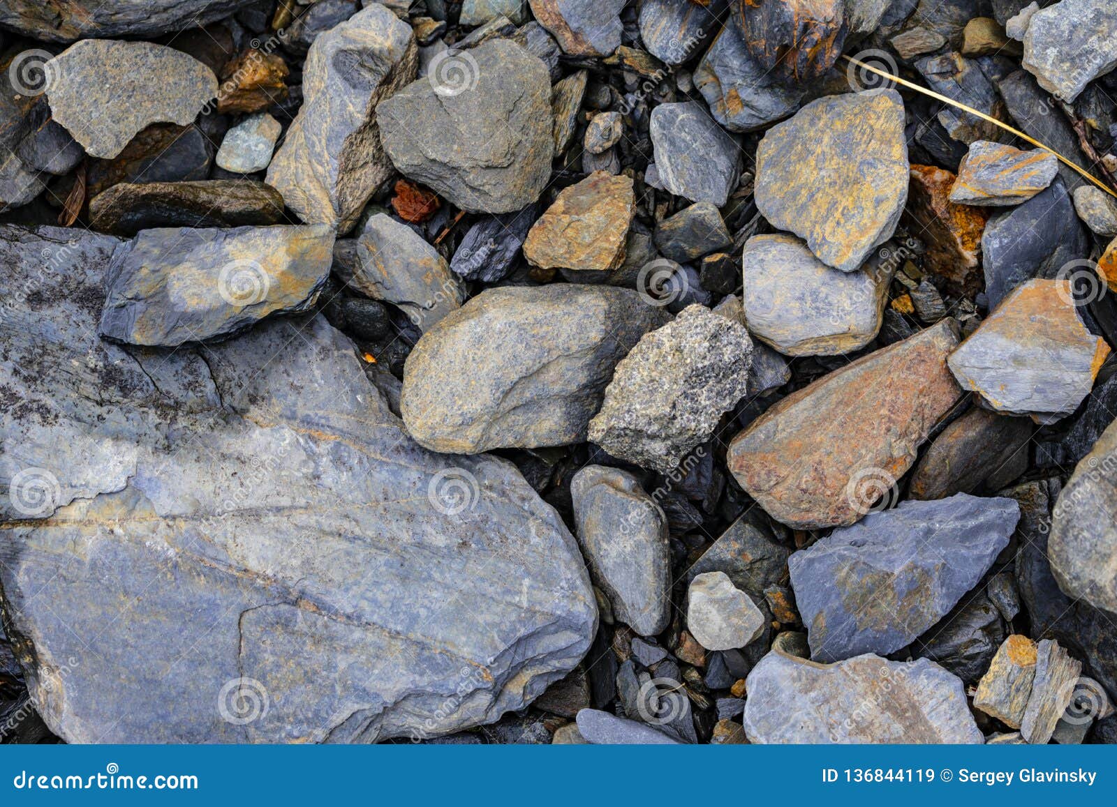 Detrital Rocks, Sedimentary Rock Texture Stock Image | CartoonDealer ...