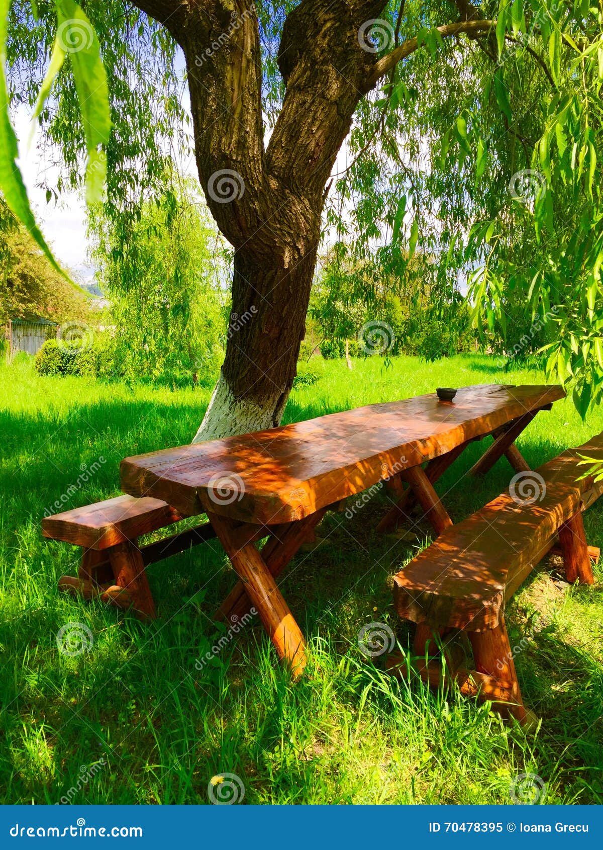 Massive Wood Table Under a Tree Stock Image - Image of wood, willow ...