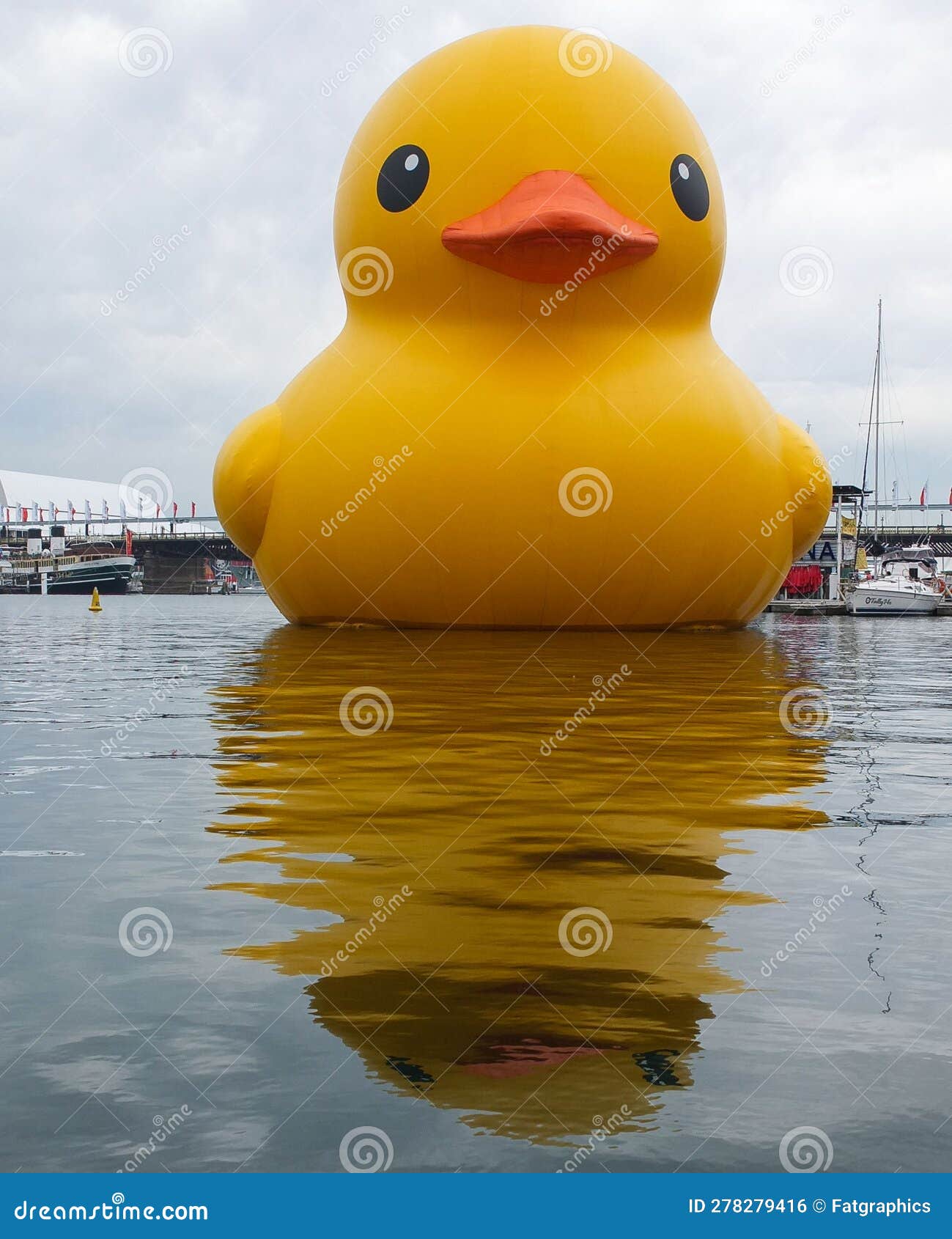 Massive Yellow Duck in Harbour Stock Photo - Image of yellow, huge ...