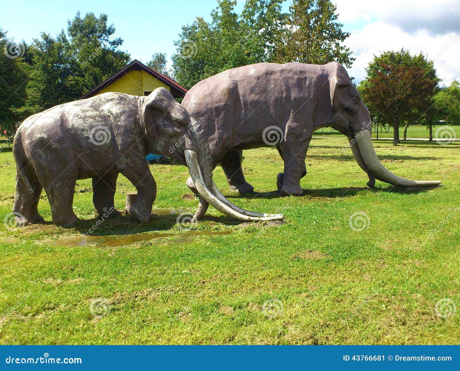 Mumut Stock Photos - Free & Royalty-Free Stock Photos from Dreamstime