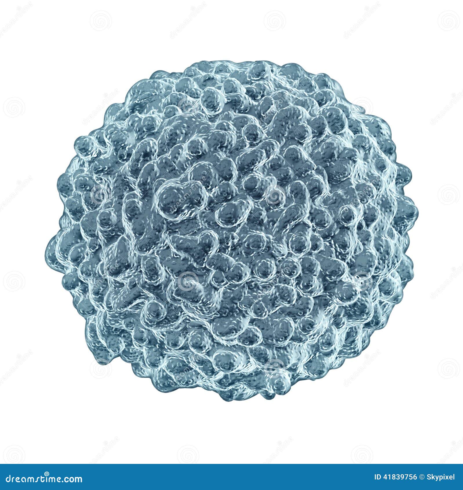 Mastcel of Een Mastocyte, Labrocyte Stock Illustratie - Illustration of ...