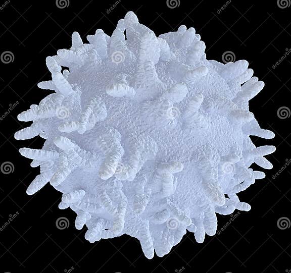 Mastcel of Een Mastocyte, Labrocyte Stock Illustratie - Illustration of ...