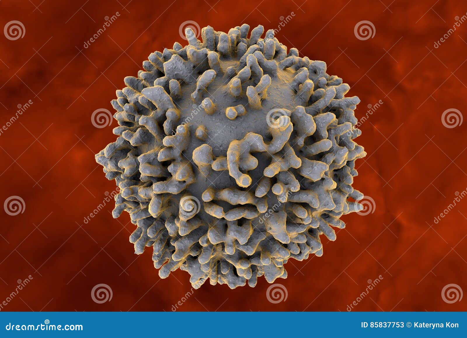 Mastcel of Een Mastocyte, Labrocyte Stock Illustratie - Illustration of ...