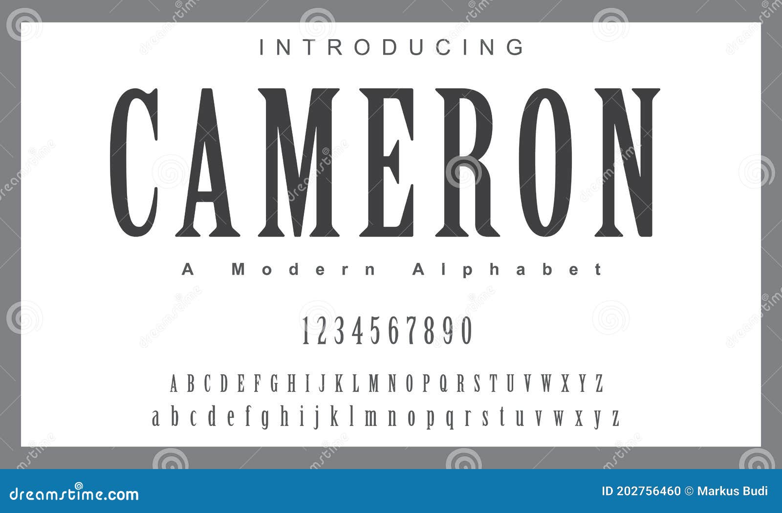 Cameron Font. Elegant Alphabet Letters Font And Number. Vector ...