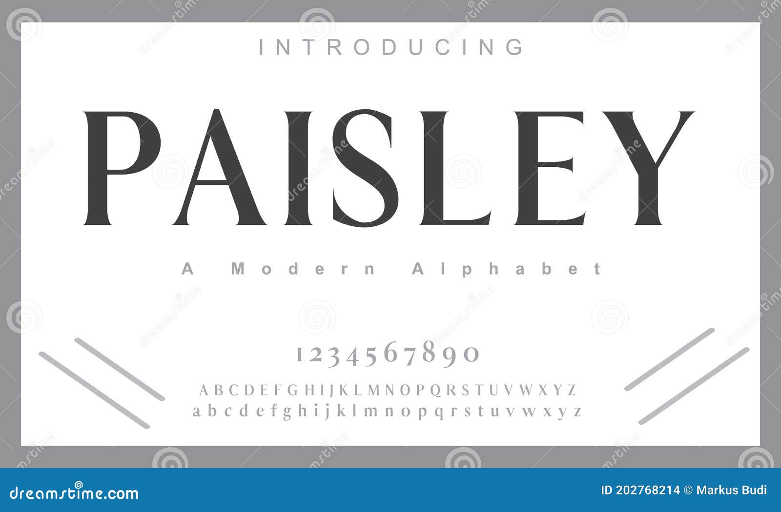 Paisley Font. Minimal Modern Alphabet Fonts Stock Vector - Illustration ...