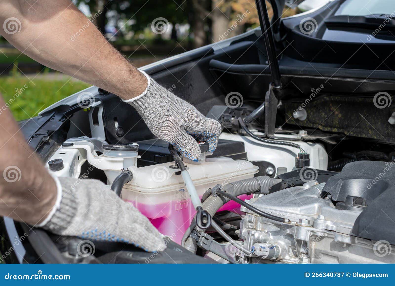 The Master Checks the Level of Coolant in the Engine of the Machine ...