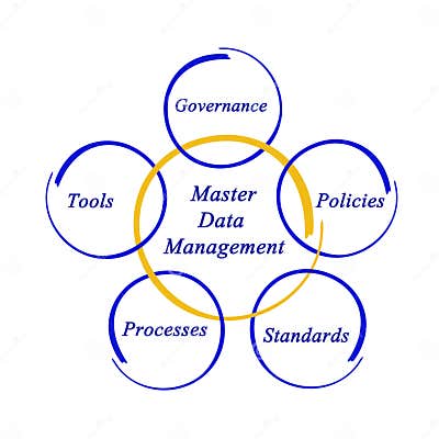 Master Data Management stock illustration. Illustration of diagram ...