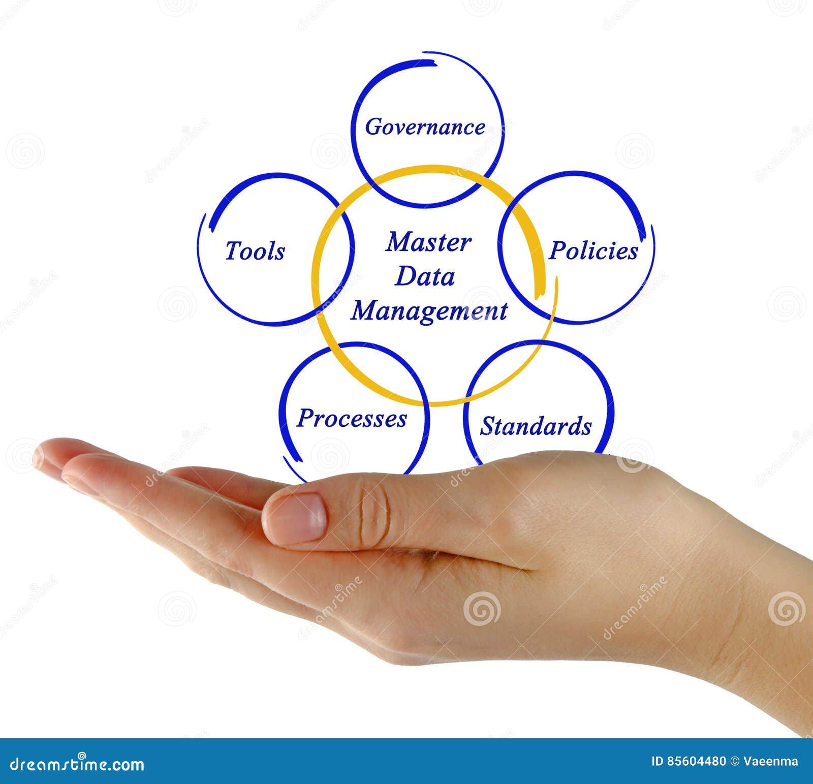 Master Data Management stock photo. Image of person, diagram - 85604480