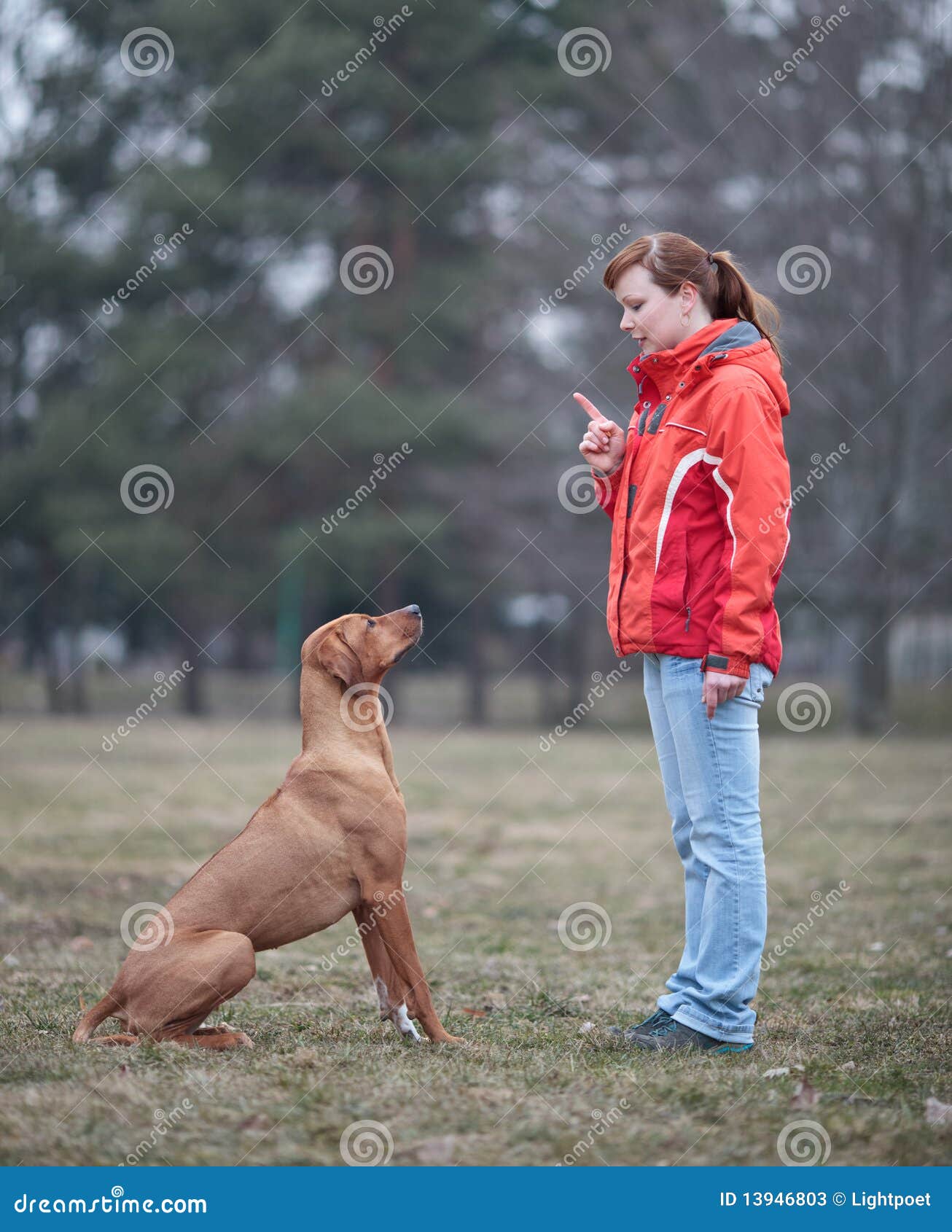 Master and her obedient stock image. Image of healthy - 13946803