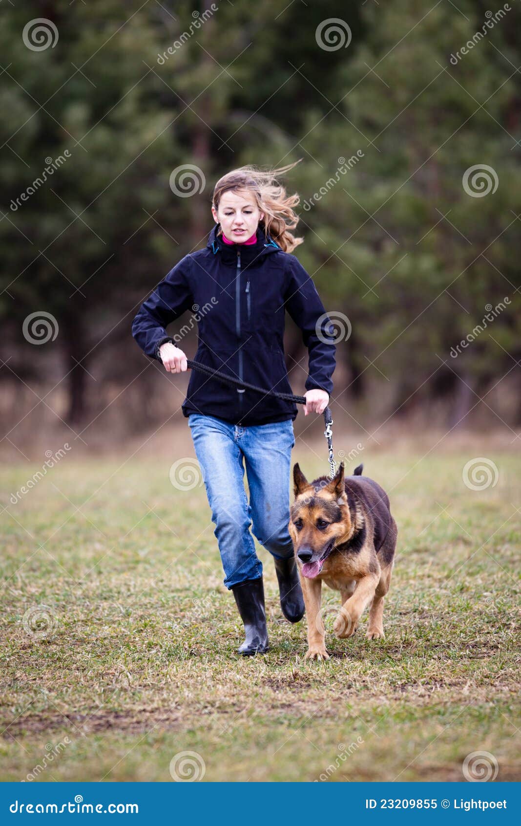 Master and Her Obedient Dog Stock Image - Image of beautiful, animal ...