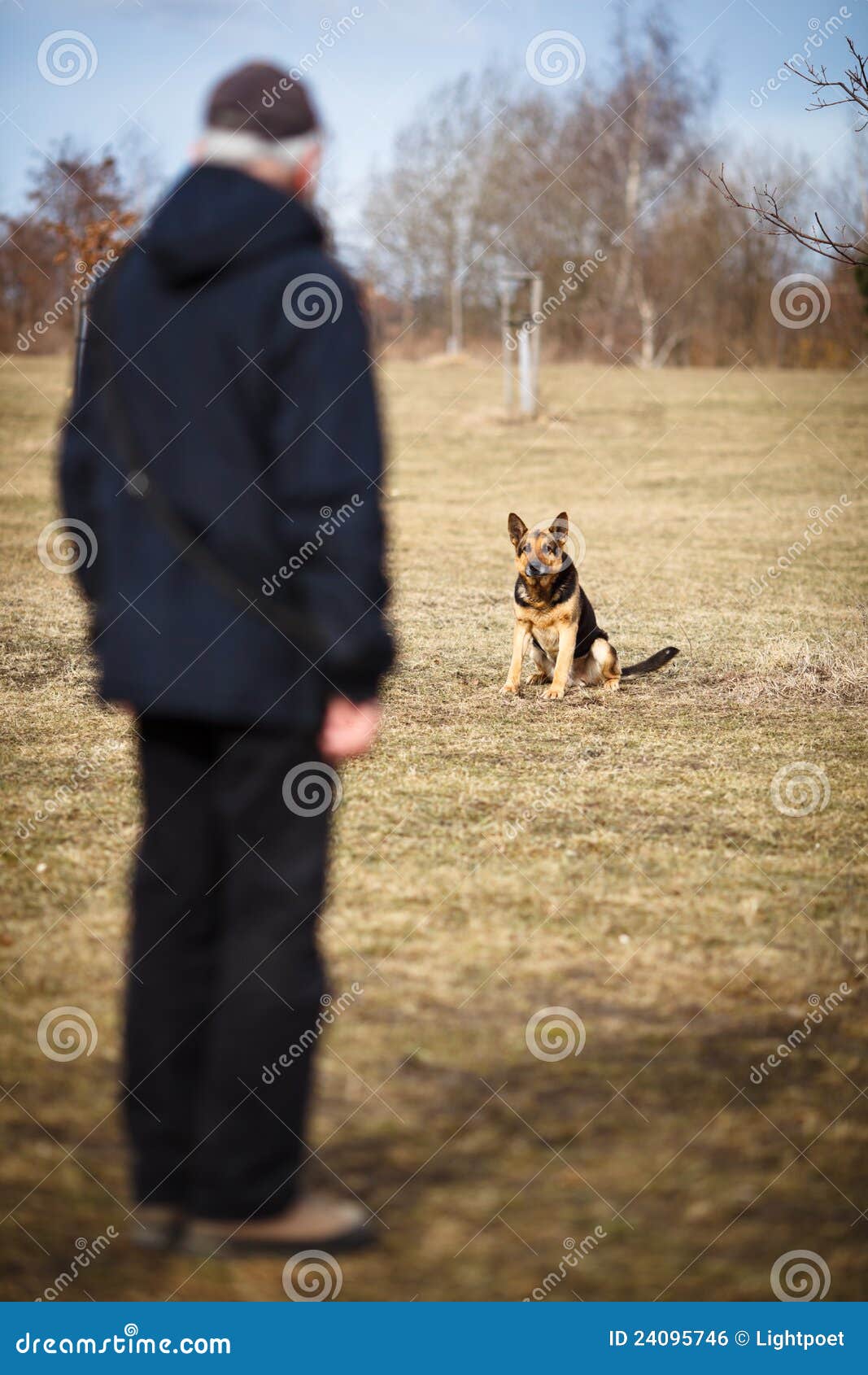 Master and His Obedient Dog Stock Photo - Image of master, cute: 24095746