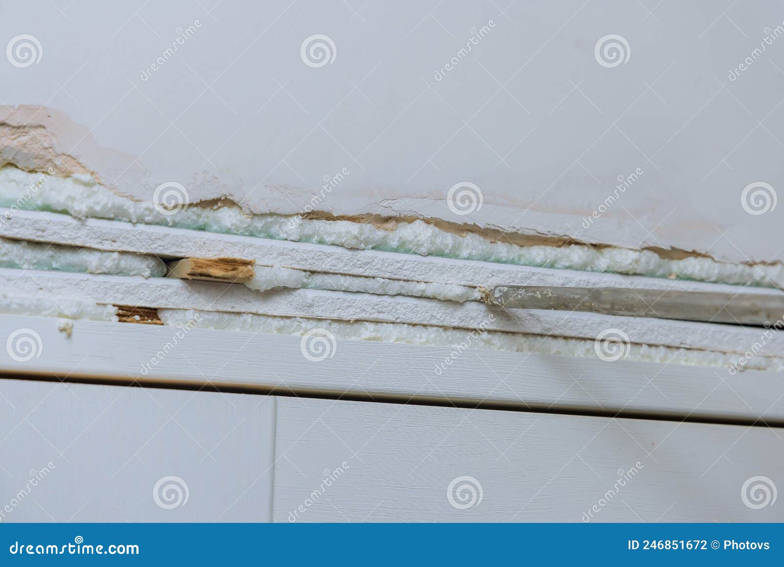 Master Installs the Interior Door Using Polyurethane Foam To Mounting ...