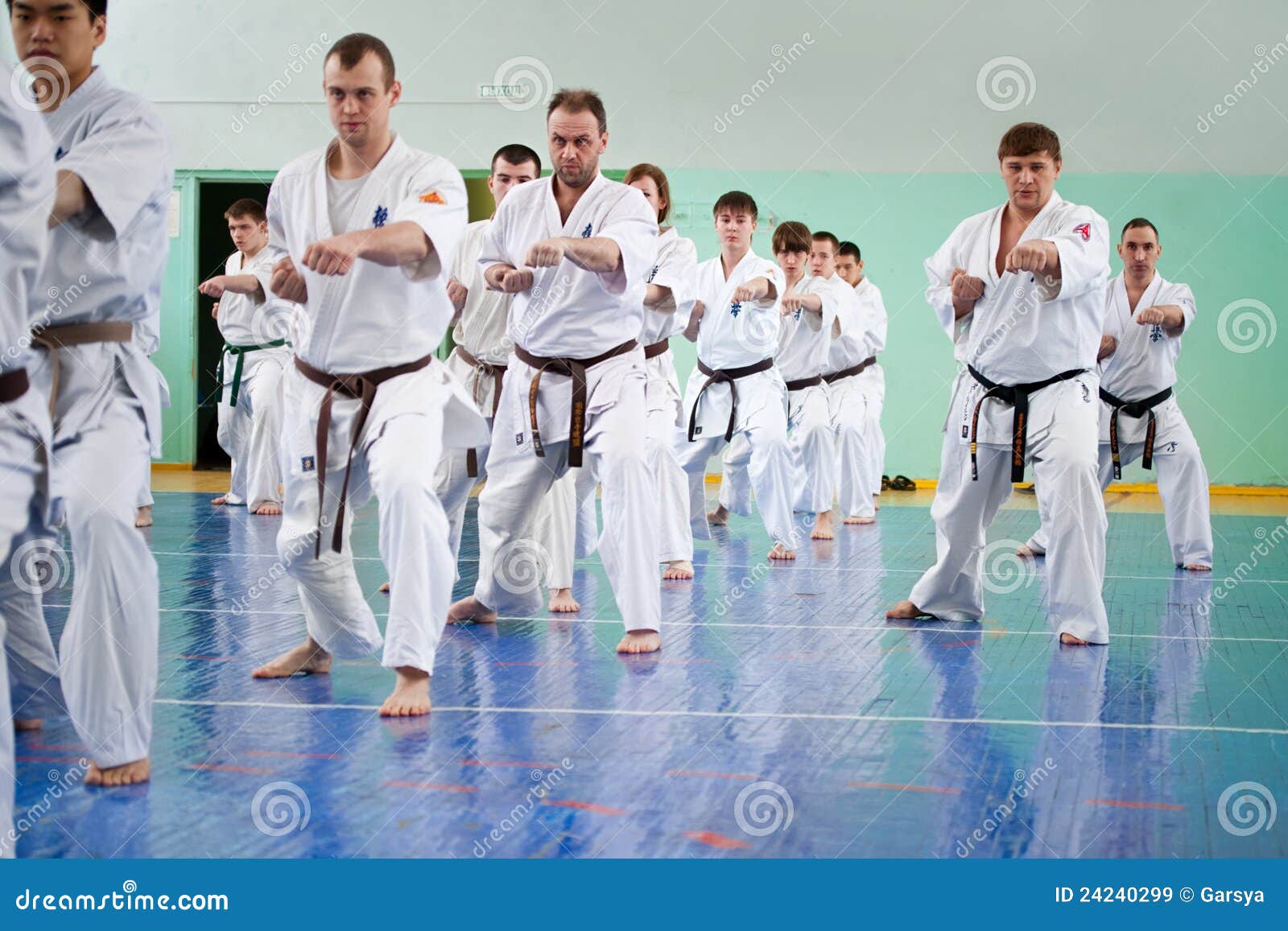 Master karate editorial stock image. Image of adult, force - 24240299