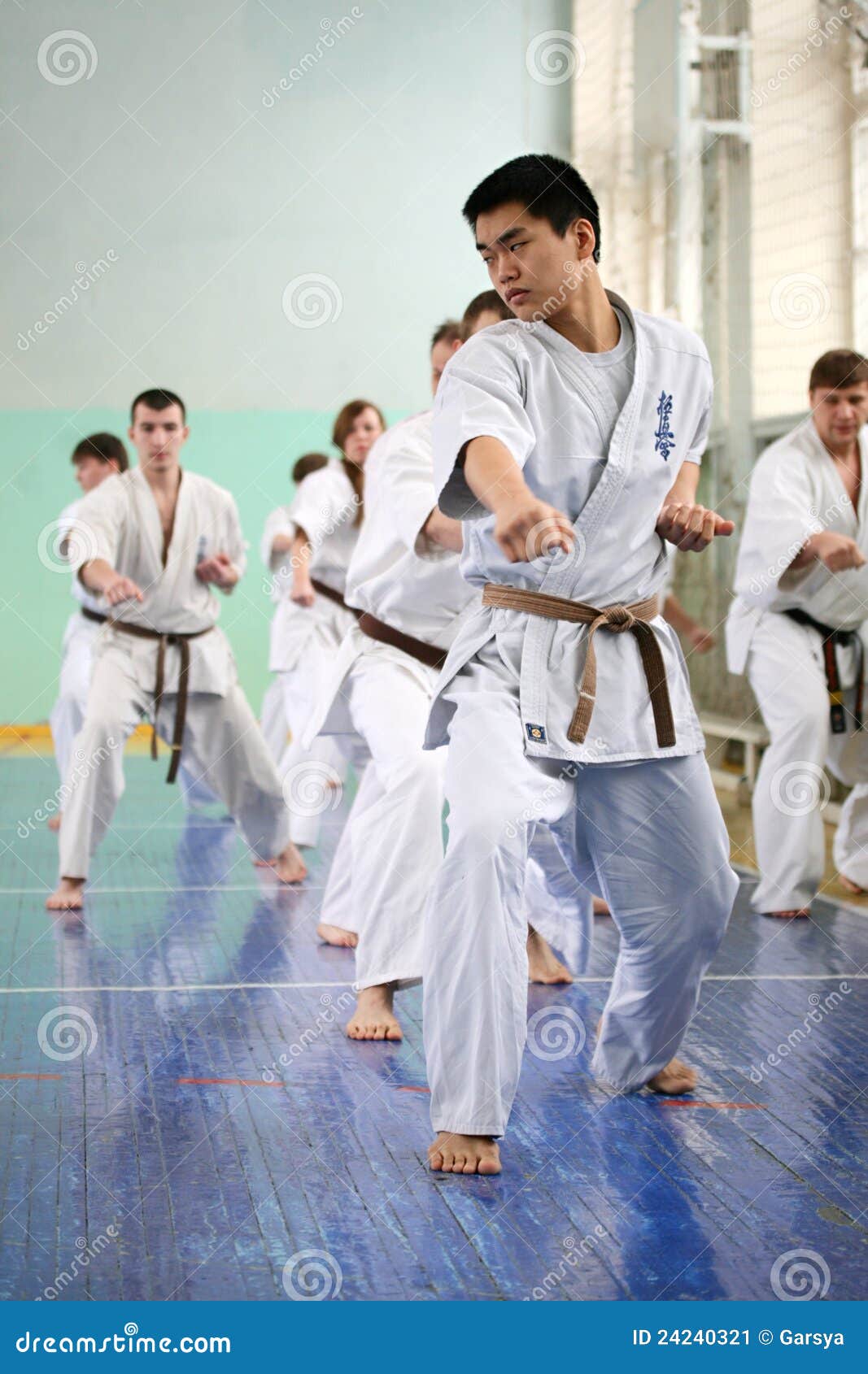 Master karate editorial photo. Image of fighter, karate - 24240321