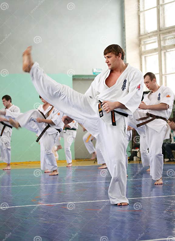 Master Karate Gives a Lesson Editorial Photography - Image of fist ...