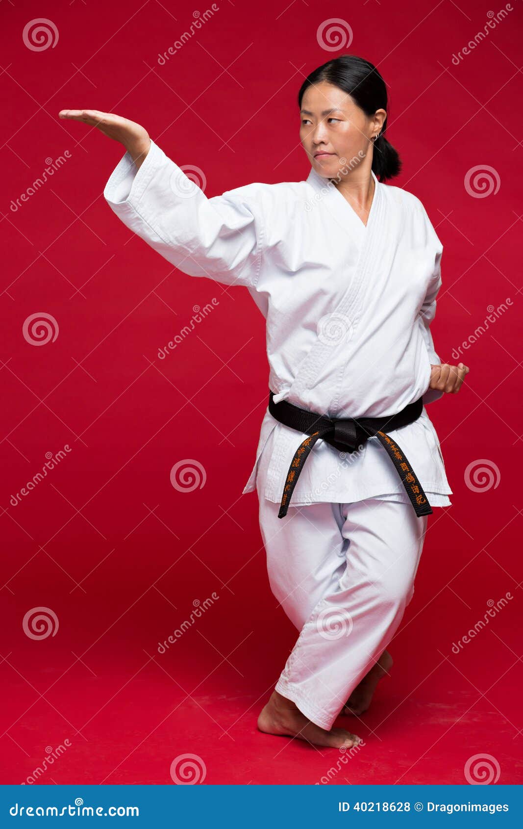 Master stock photo. Image of asian, culture, fitness - 40218628