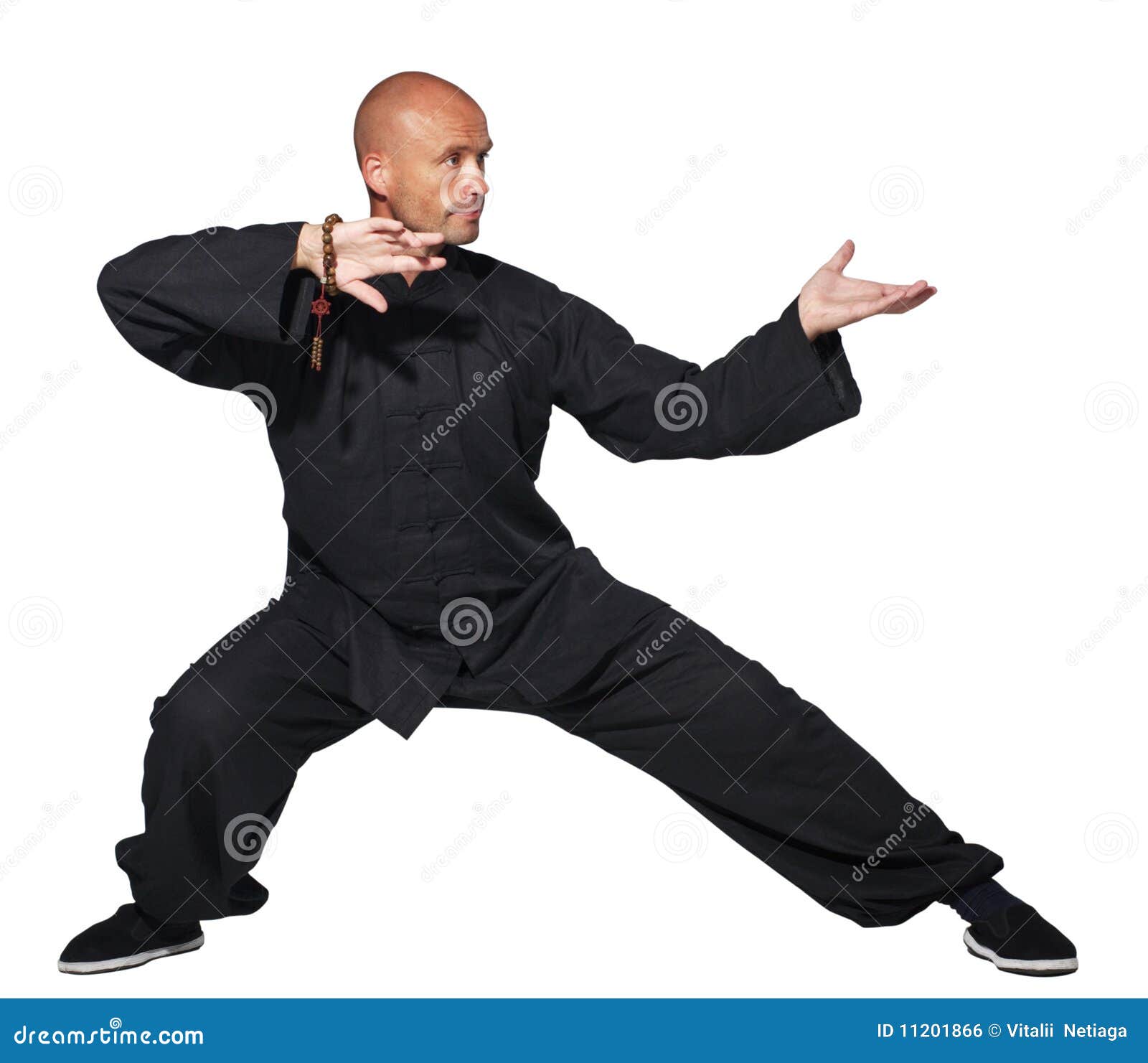 Master of tai-chi stock photo. Image of traditional, meditating - 11201866