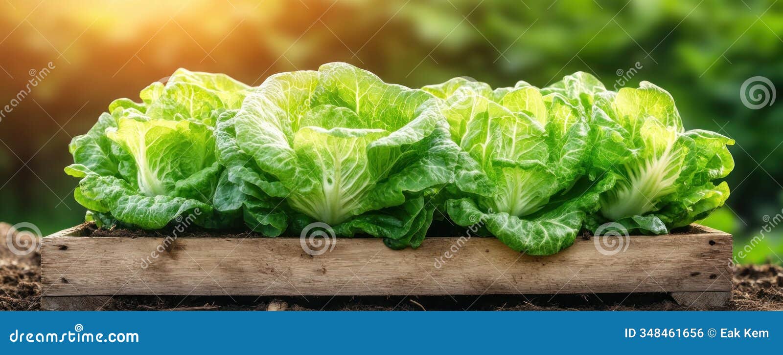 Mastering Composting Techniques For Healthy Soil And Abundant Organic ...