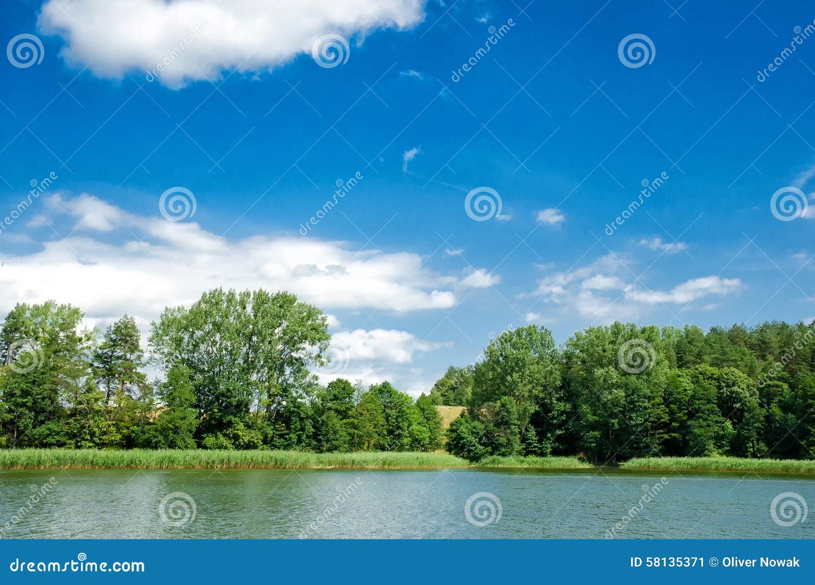 Masuria stock image. Image of lacustrine, reed, clouds - 58135371