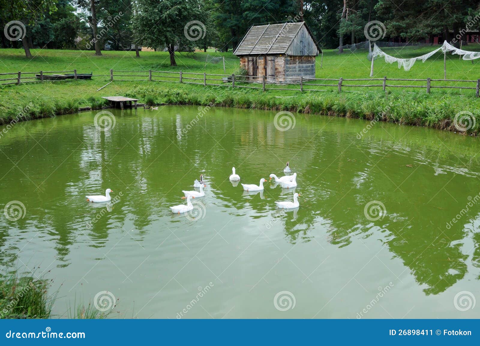 Masuria region in Poland stock image. Image of pond, mazury - 26898411