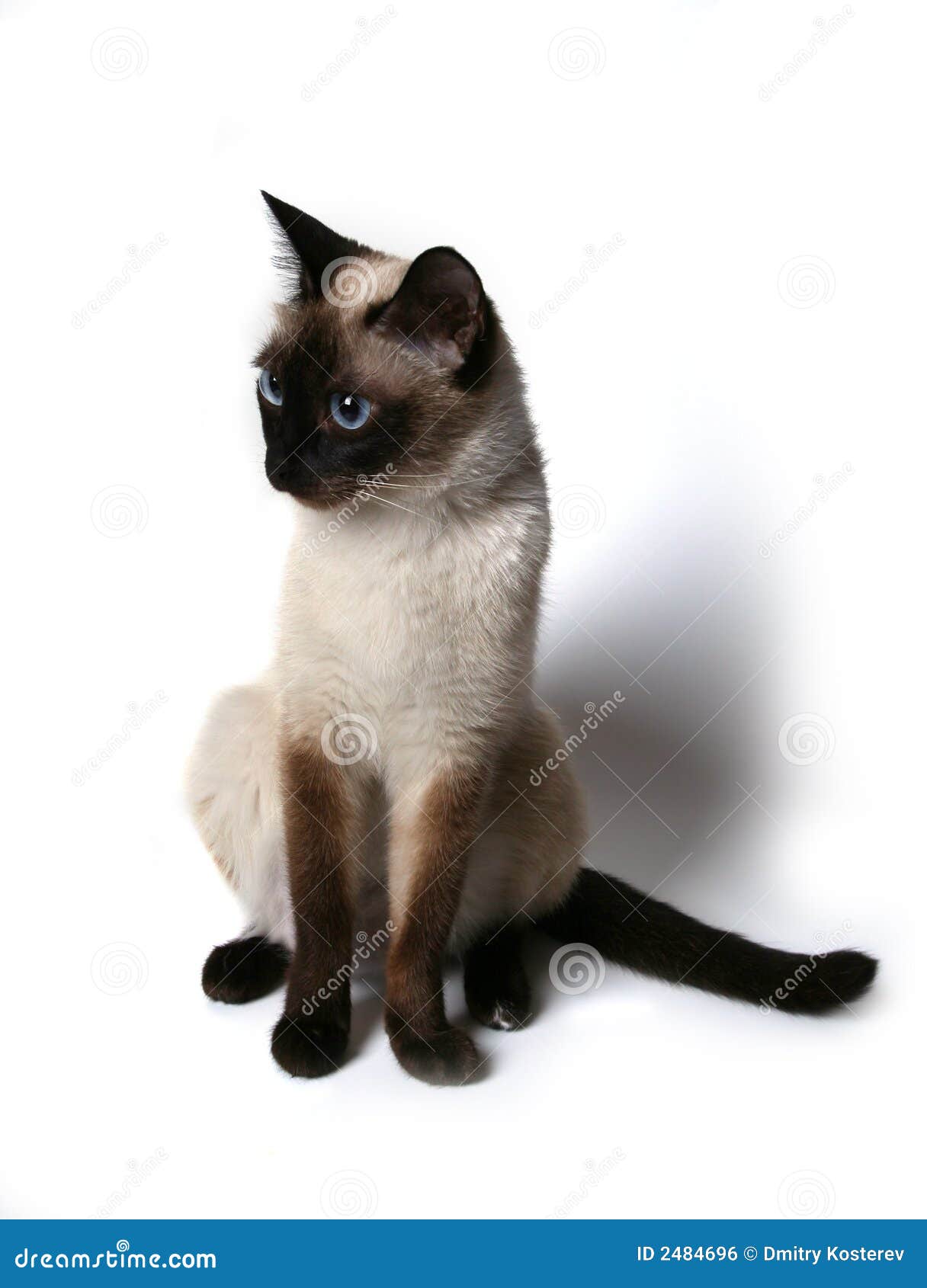 Masya 3 stock photo. Image of nature, playing, facial - 2484696