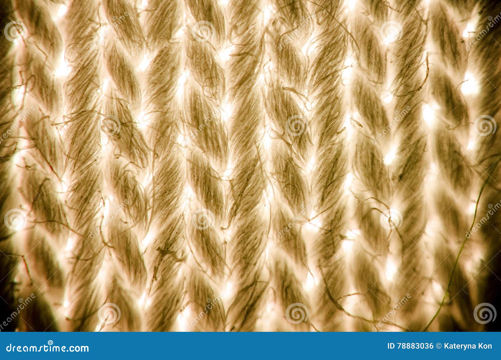 Matéria Têxtil De Algodão Sob O Microscópio Foto de Stock - Imagem de ...